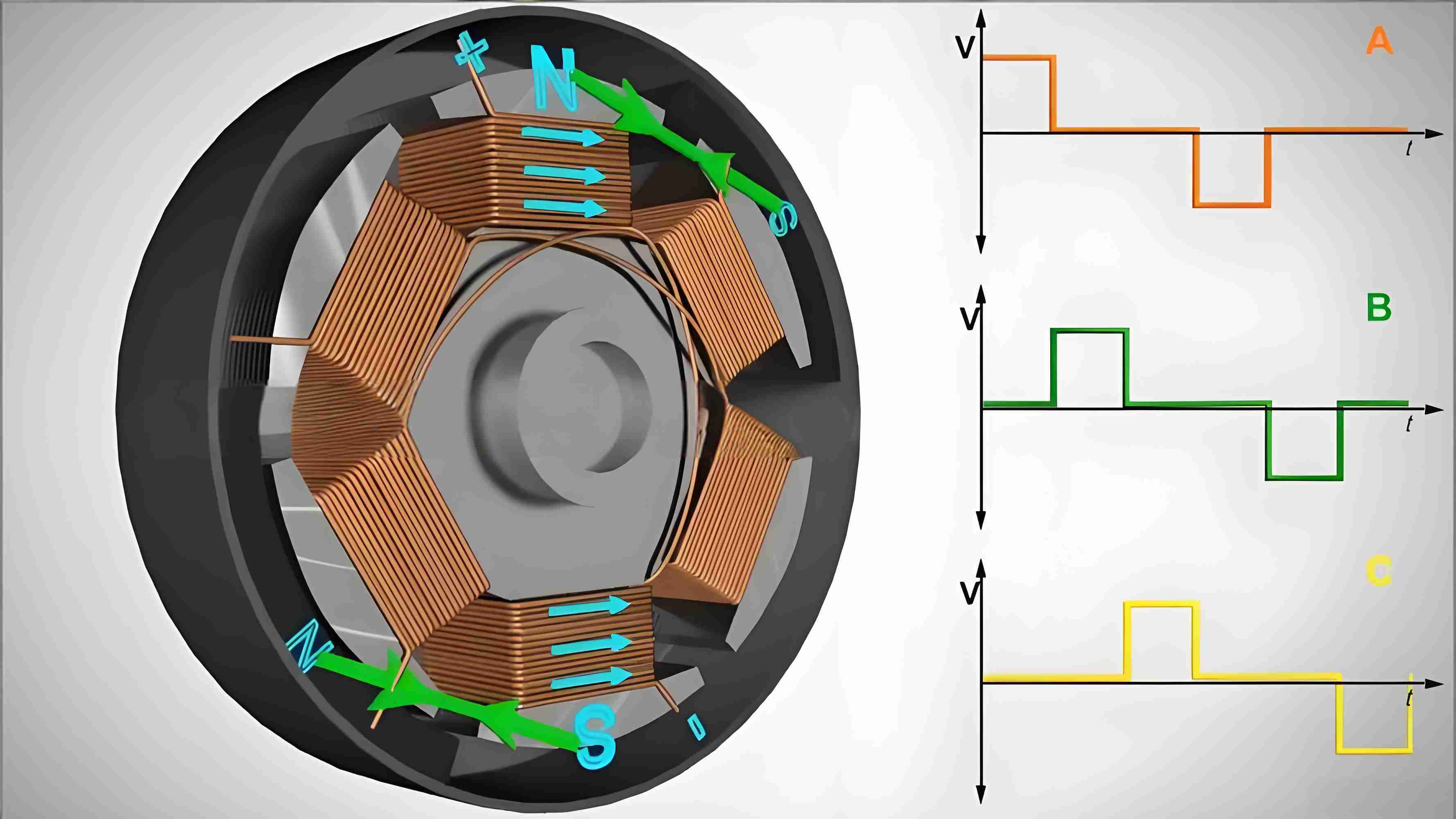 Coreless Permanent Magnet Motor